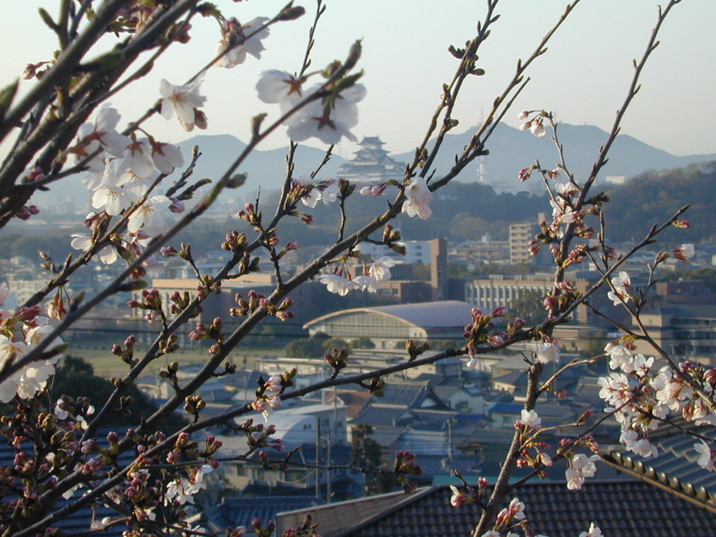 GANZANの世界 4: GANZAN